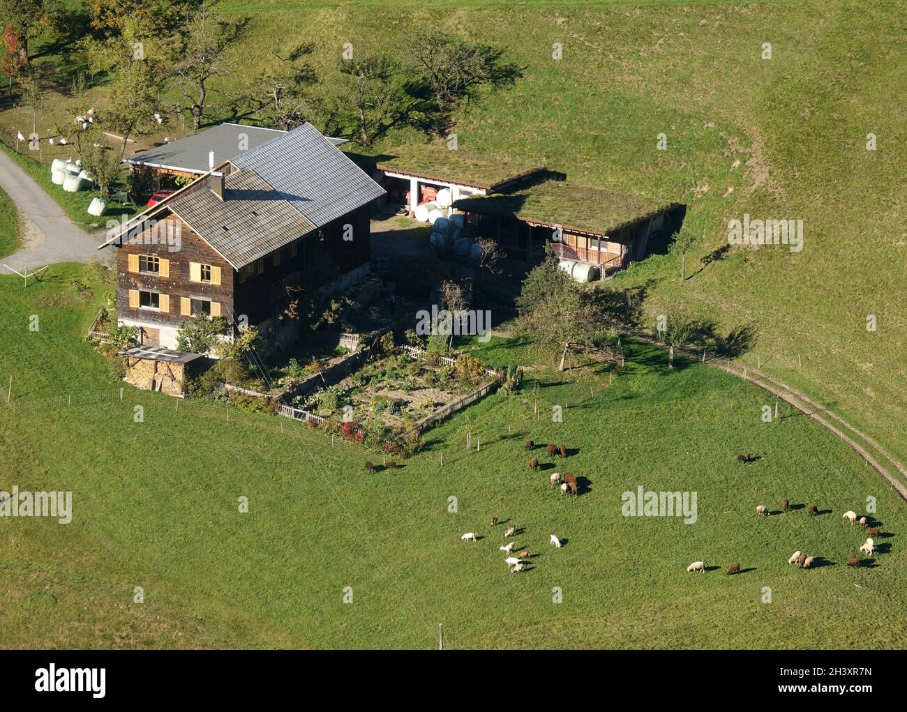 Farm in the Alps Stock Photo - Alamy