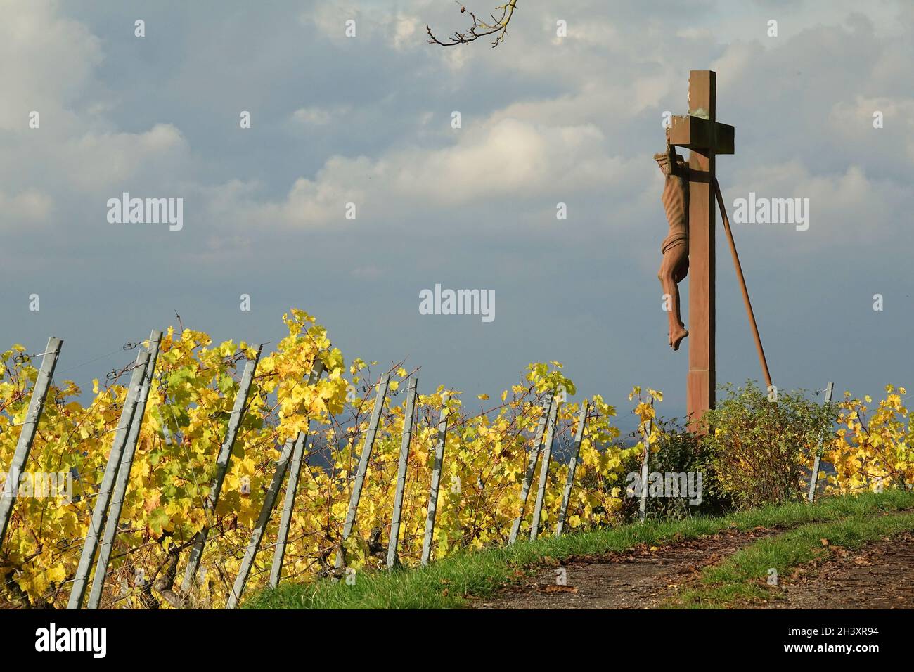 Jesus in vineyard hi-res stock photography and images - Alamy