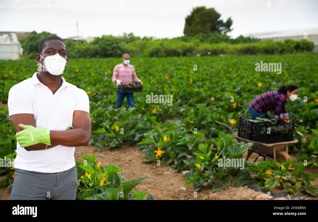 Confident african american farmer in medical mask on farm field Stock ...