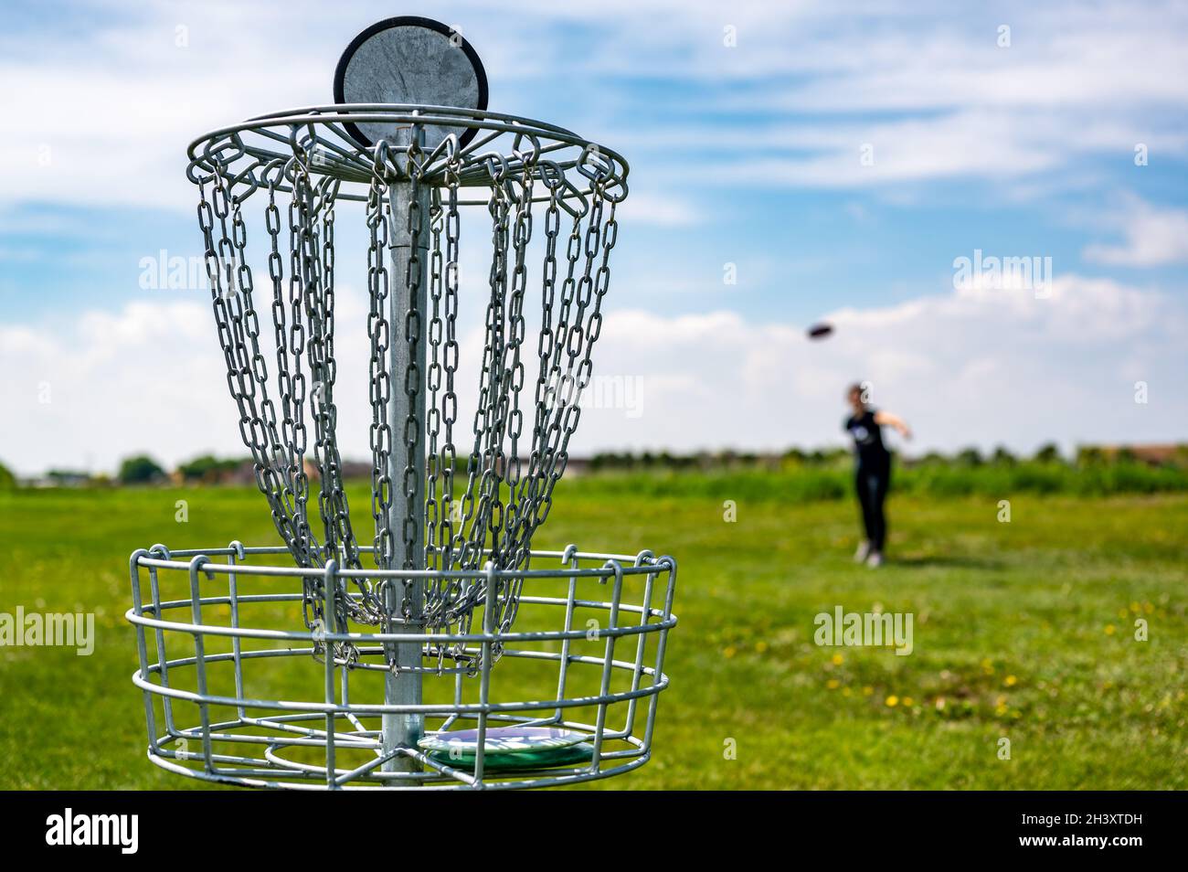 Focus on a golf hole while disc is in the air after being tossed by a ...