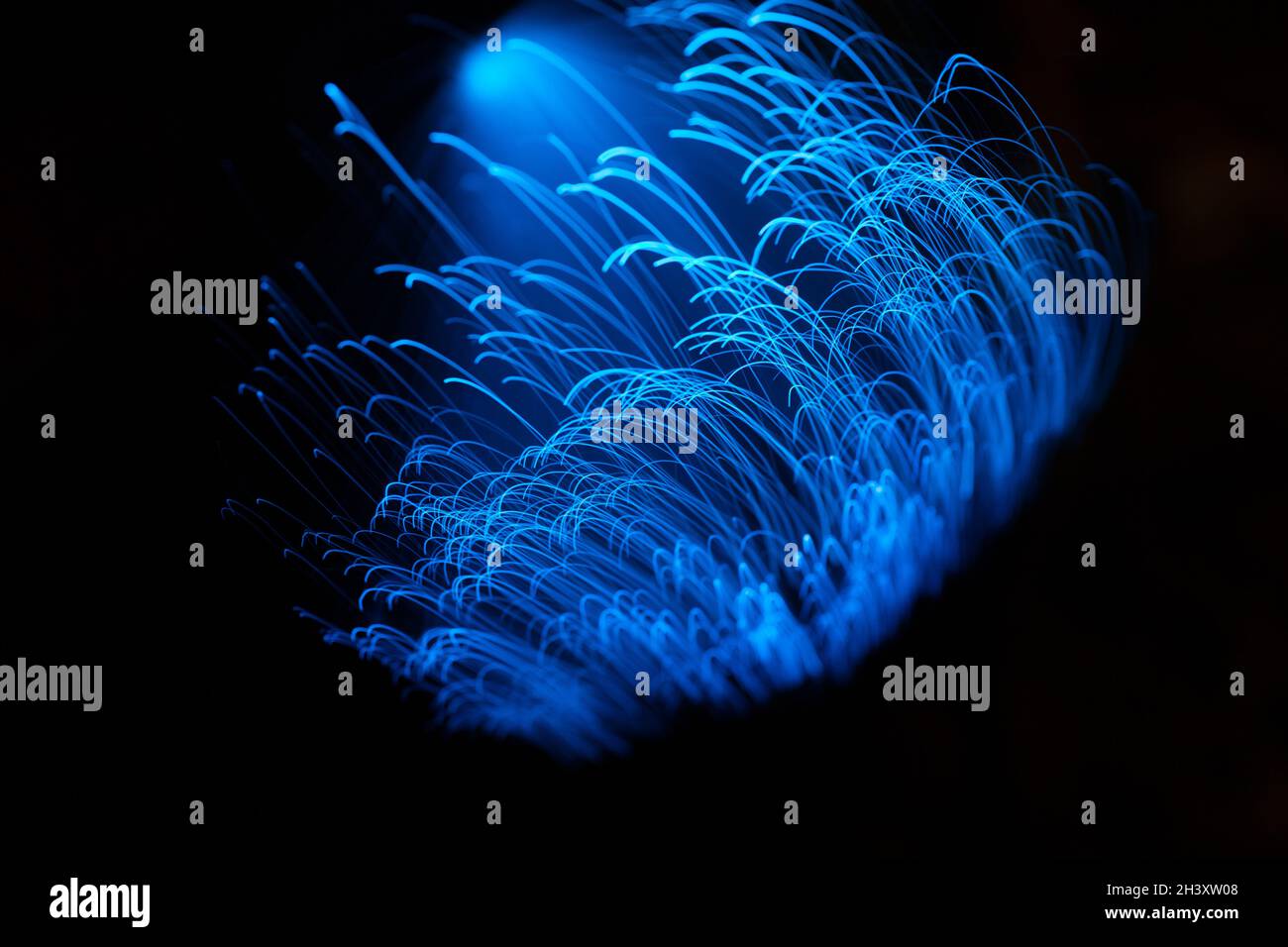 Blue abstract particles and lines with bokeh and blur in dark ...