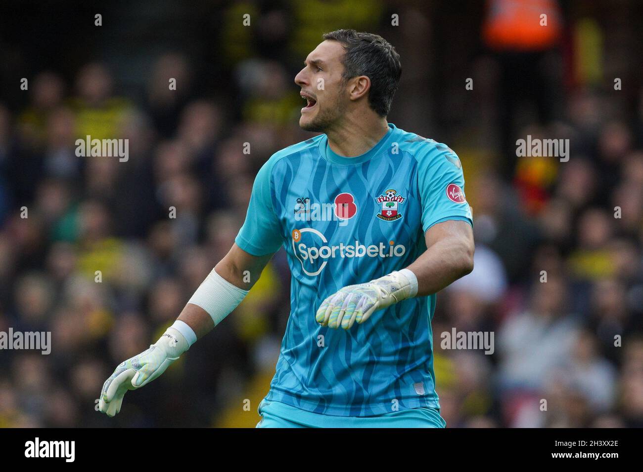 Alex McCarthy #1 of Southampton Stock Photo - Alamy