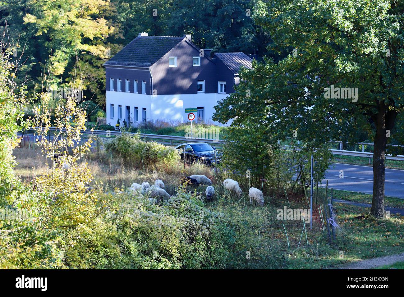 Remote country farm landscape hi-res stock photography and images - Alamy
