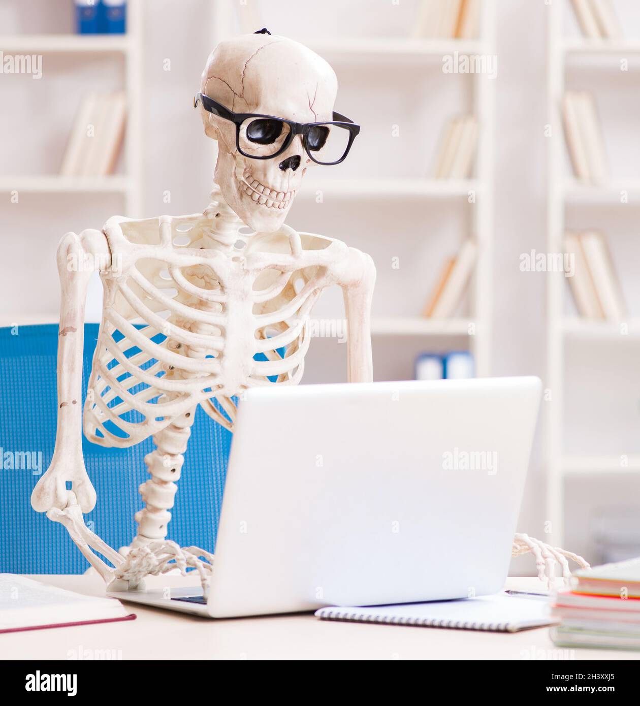 Human skeleton sitting with laptop computer hi-res stock photography ...