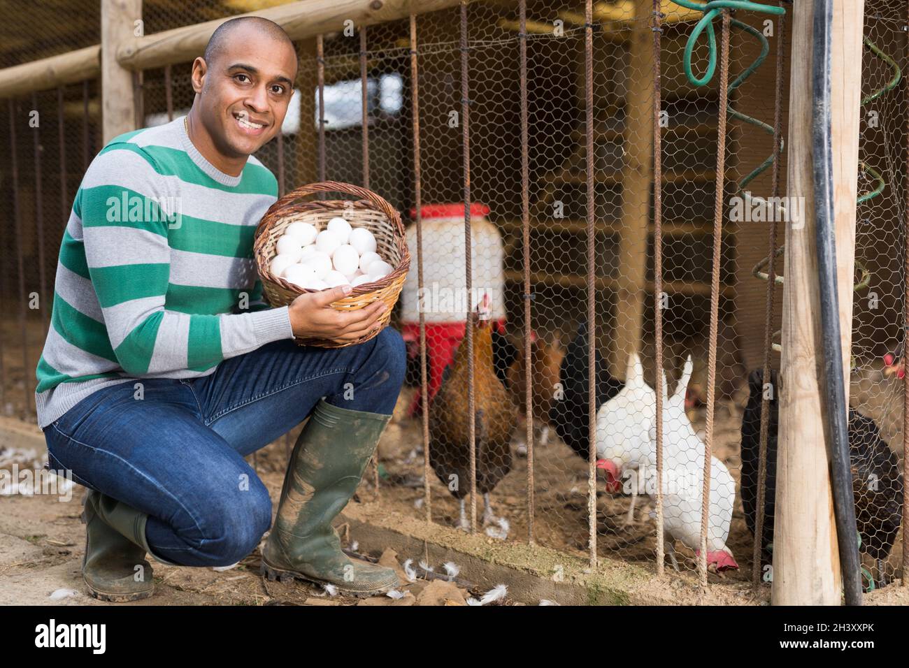 Male farmer holds chicken hi-res stock photography and images - Alamy