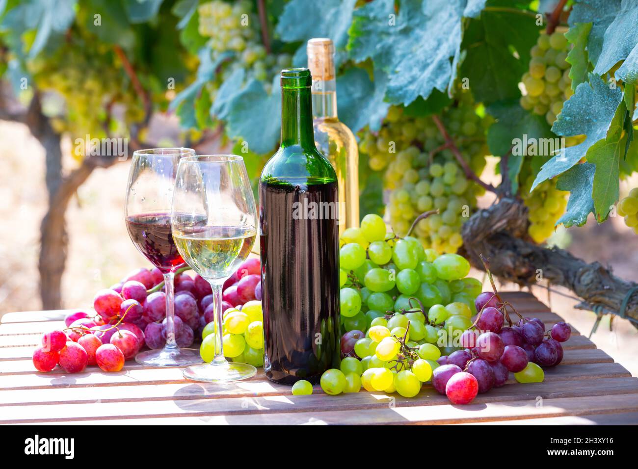 Bottles and glasses with red and white wine and grapes Stock Photo - Alamy