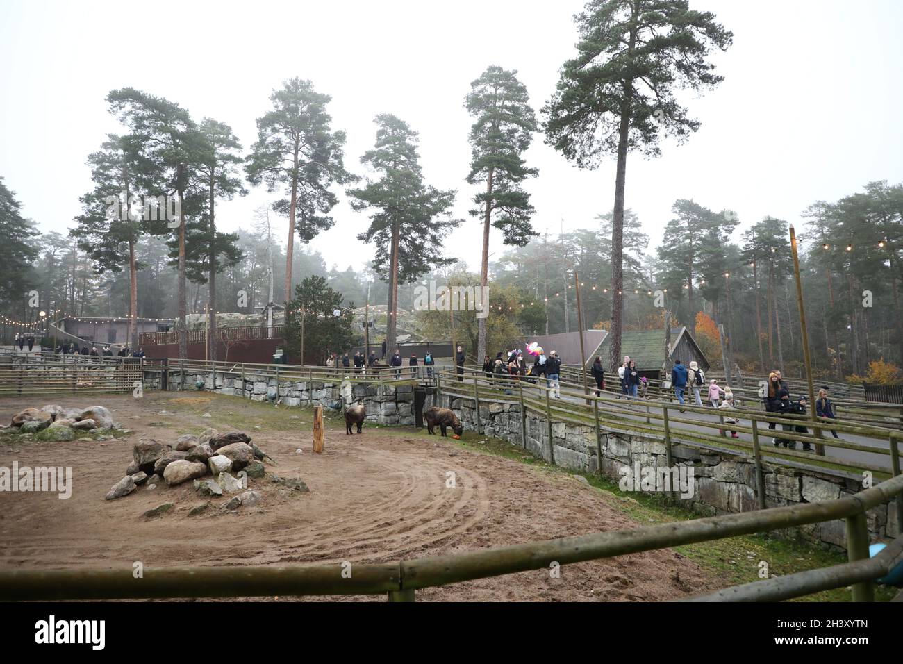 General view at Kolmarden Zoo on Saturday. Between October 16 and ...