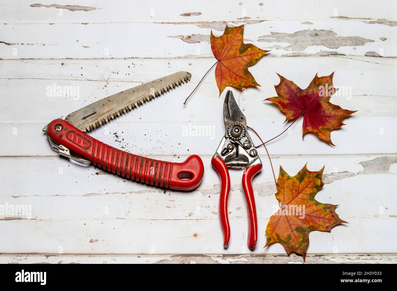 Autumn Fall Leaves with garden tools on a wooden garden bench suggest ...
