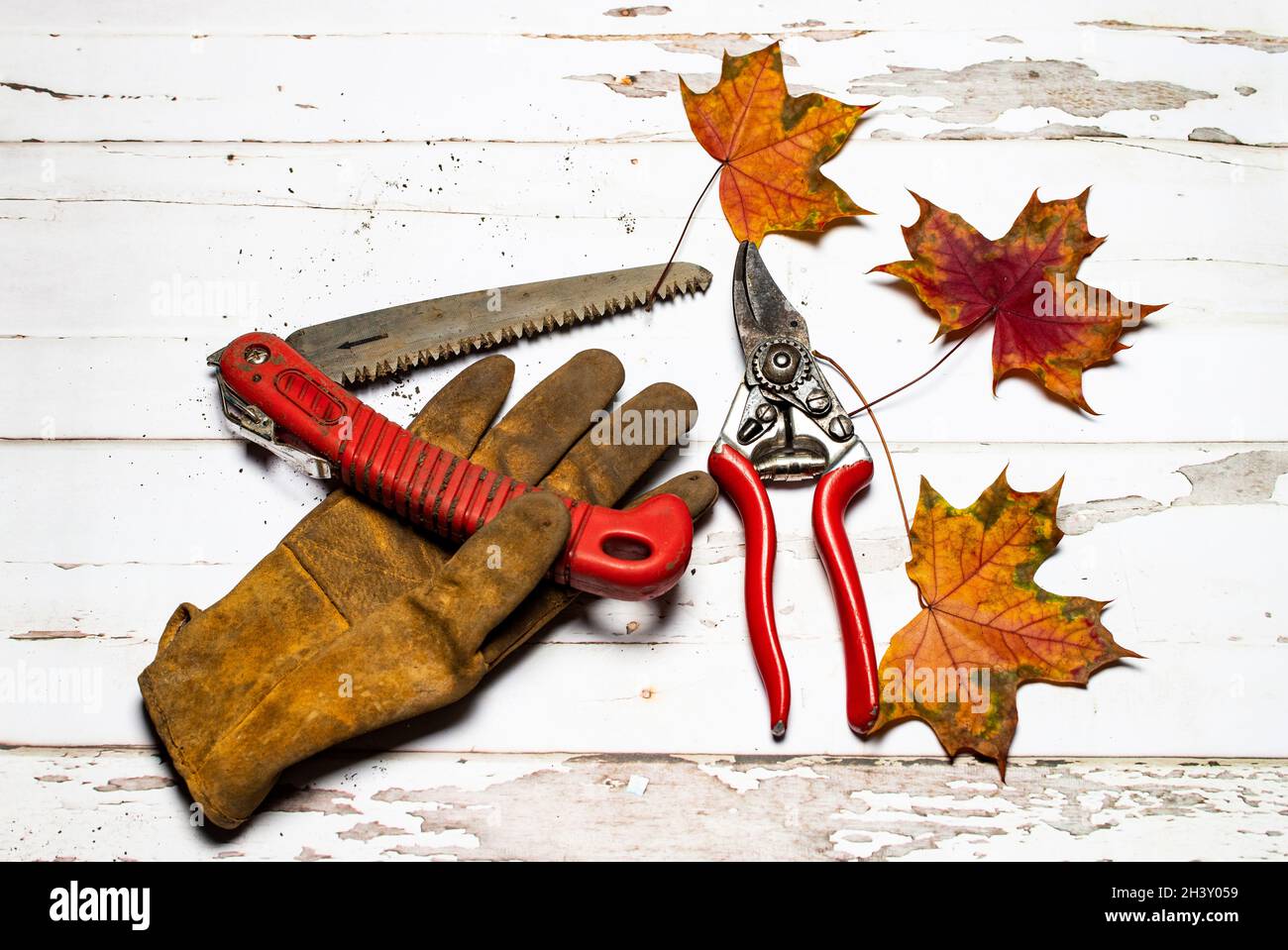 Autumn Fall Leaves with garden tools on a wooden garden bench suggest ...
