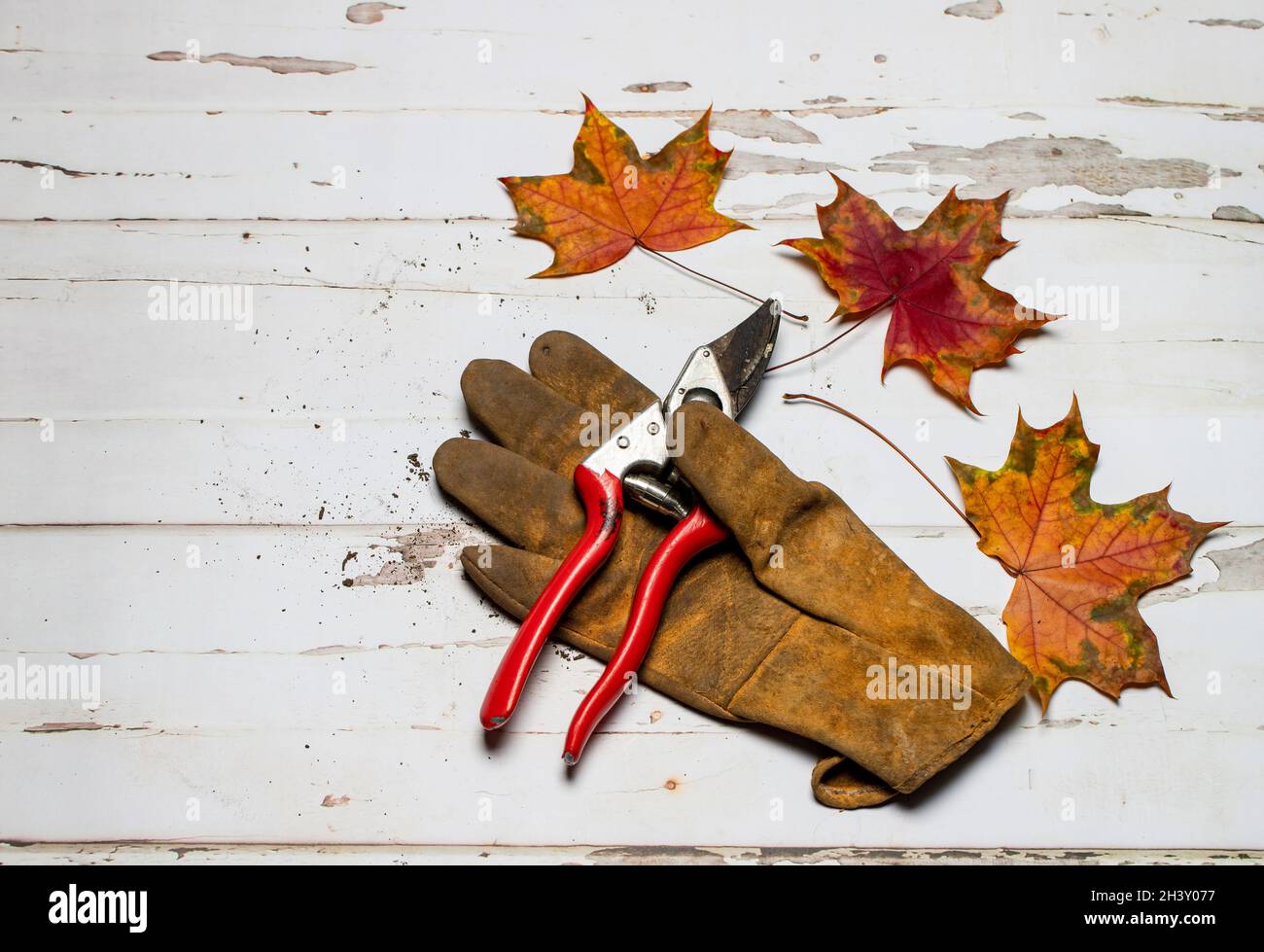 Autumn Fall Leaves with garden tools on a wooden garden bench suggest ...