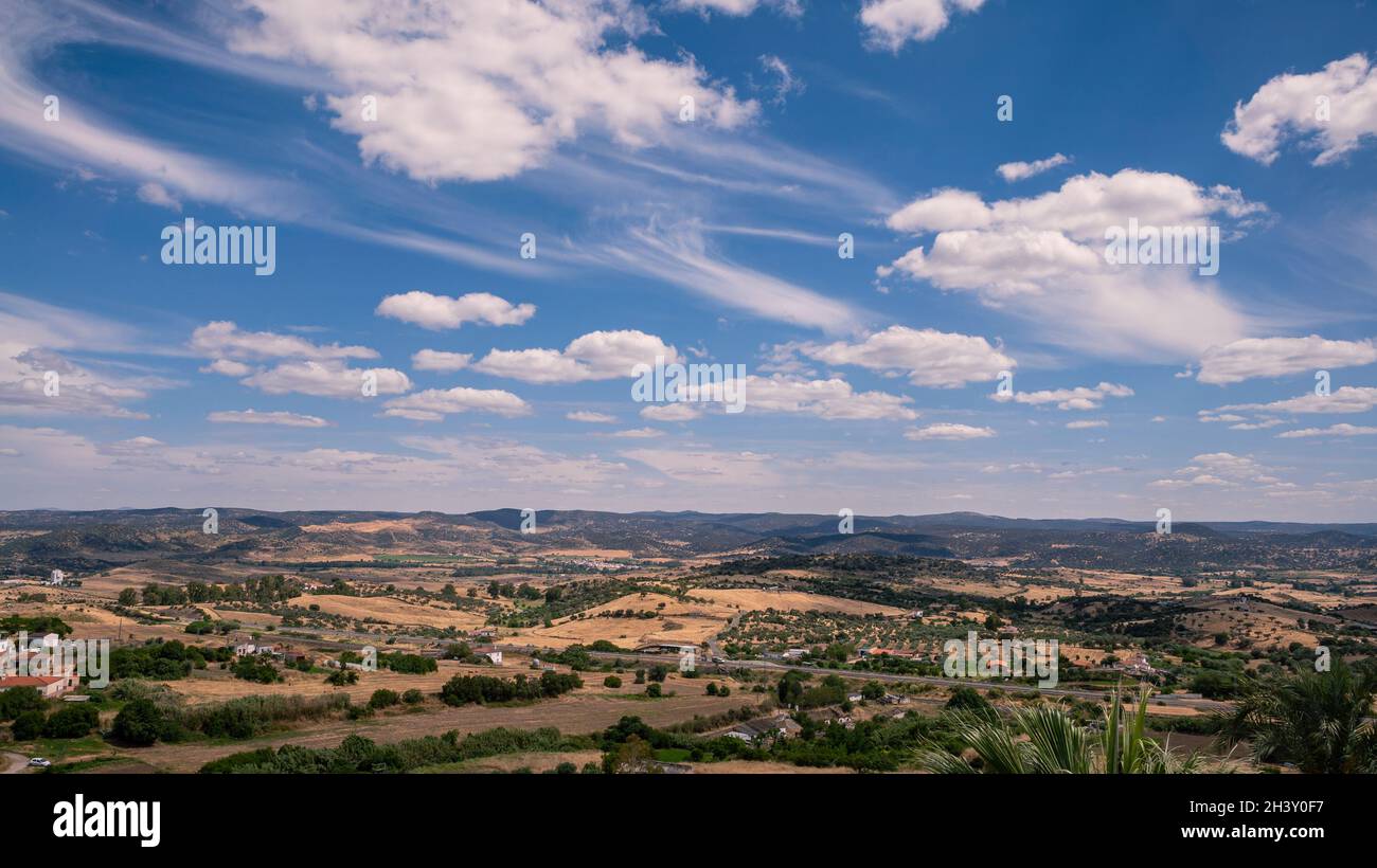 Aerial view of green fields under the sun of a beautiful spring morning ...