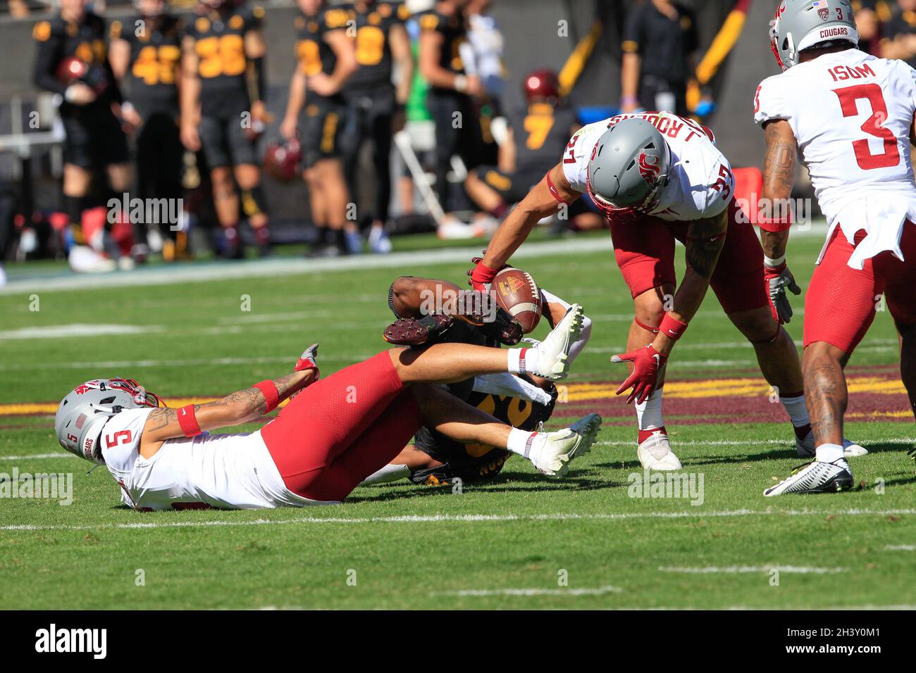 Washington state cougars hi-res stock photography and images - Alamy