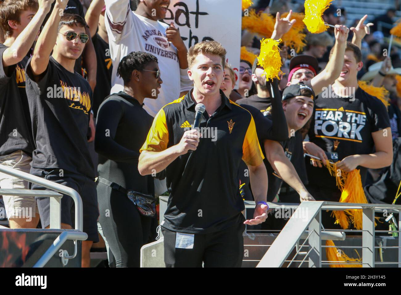 Washington state cougars hi-res stock photography and images - Alamy