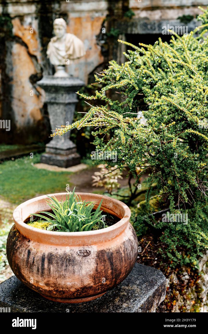 Pot plant courtyard hi-res stock photography and images - Alamy
