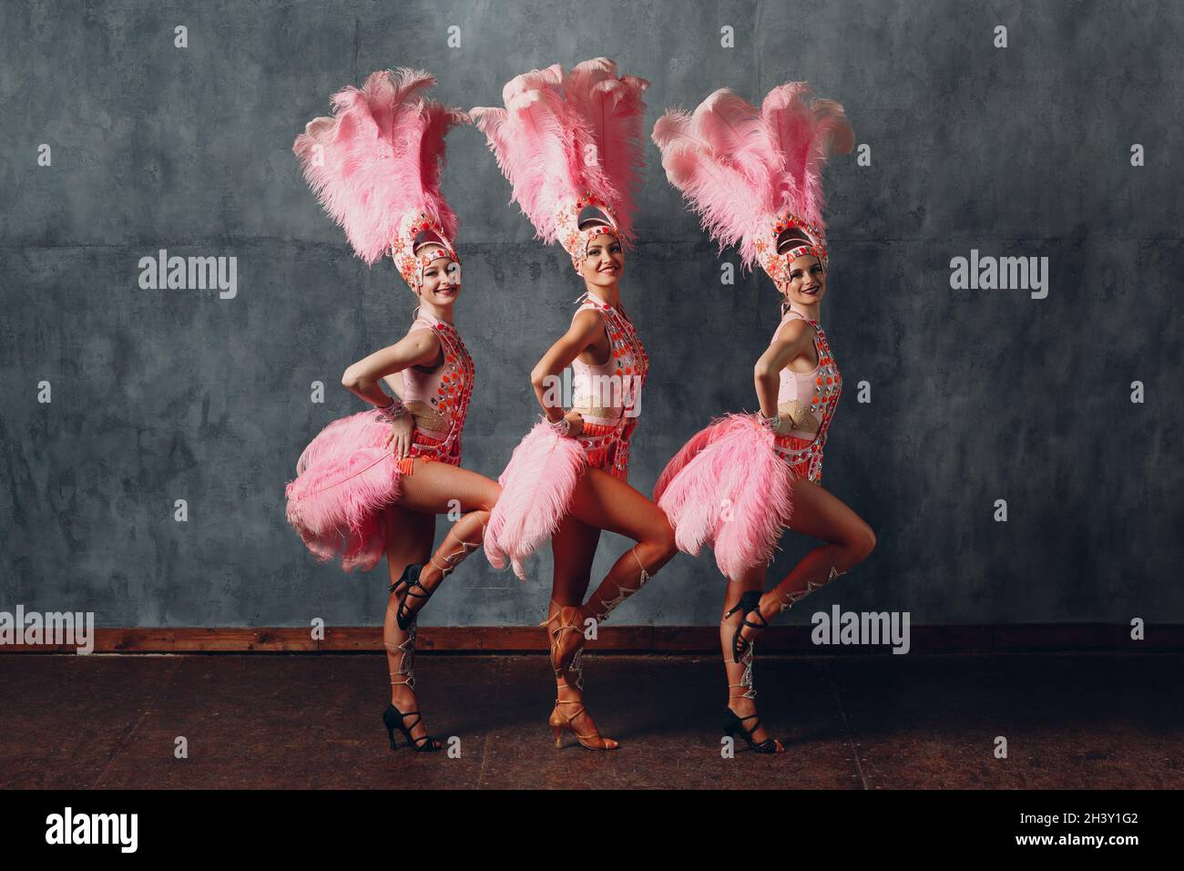 Women in cabaret costume with pink feathers plumage dancing samba Stock ...