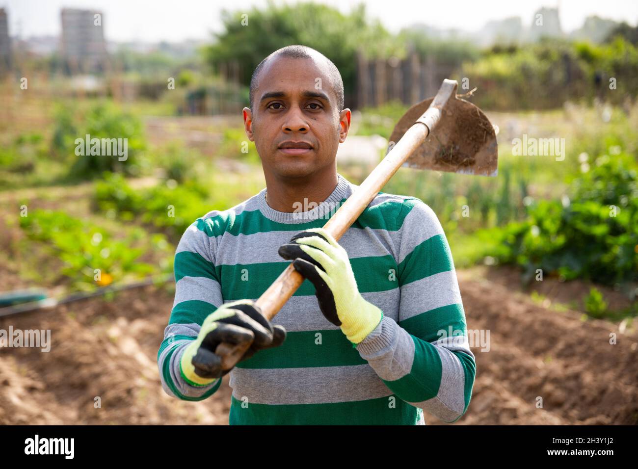 Latin american farmer hoe hi-res stock photography and images - Alamy