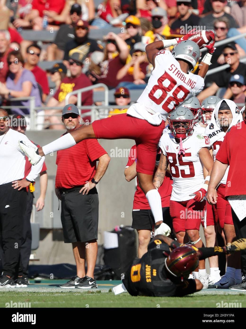 Sun devil hi-res stock photography and images - Alamy