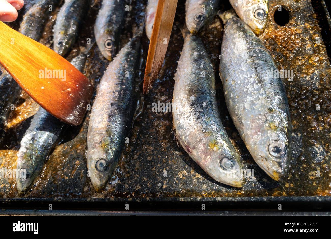 Grilled sardines on a grill plate. Prepared spanish pilchard style ...