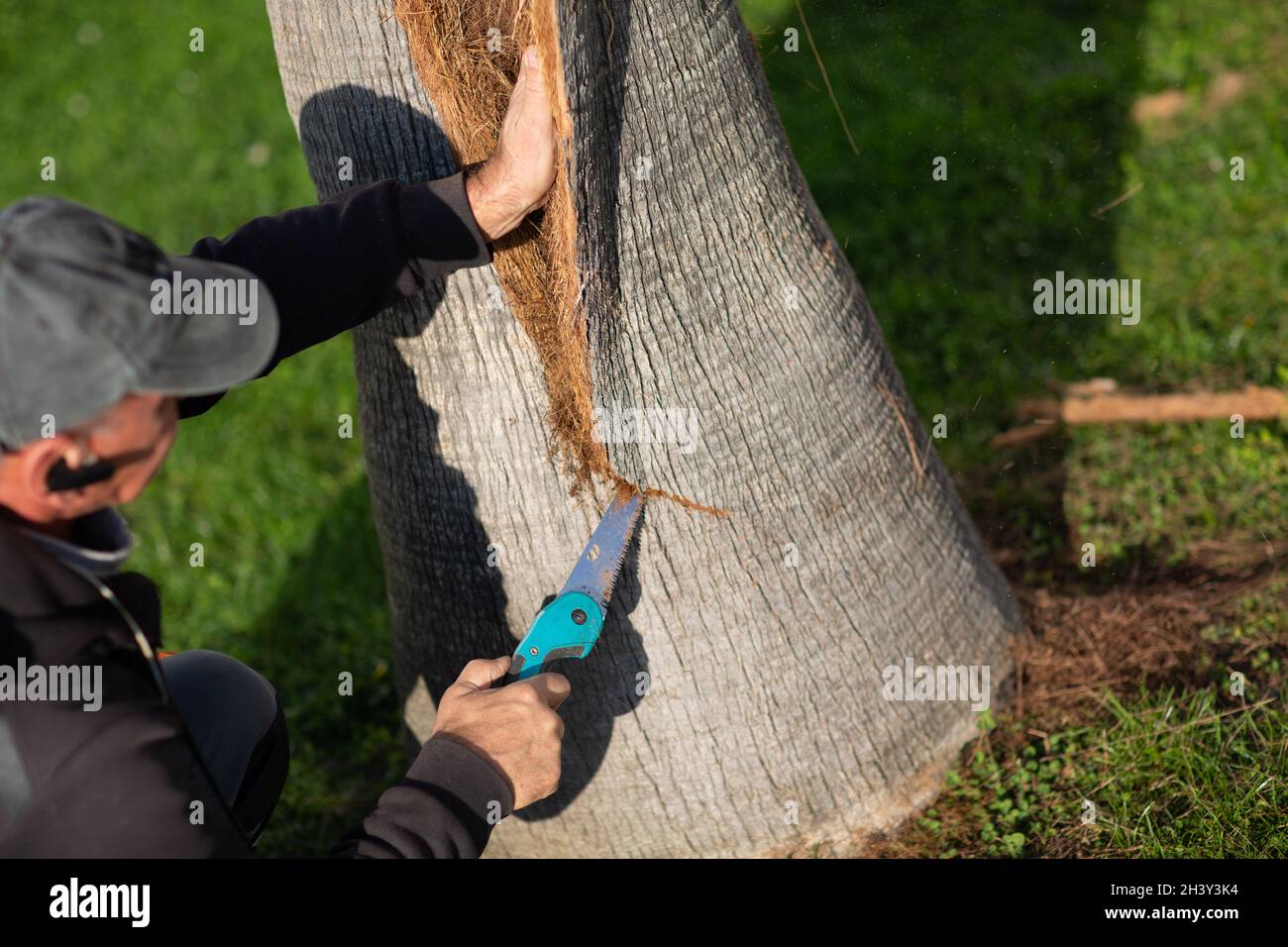 Coco cutting hi-res stock photography and images - Alamy
