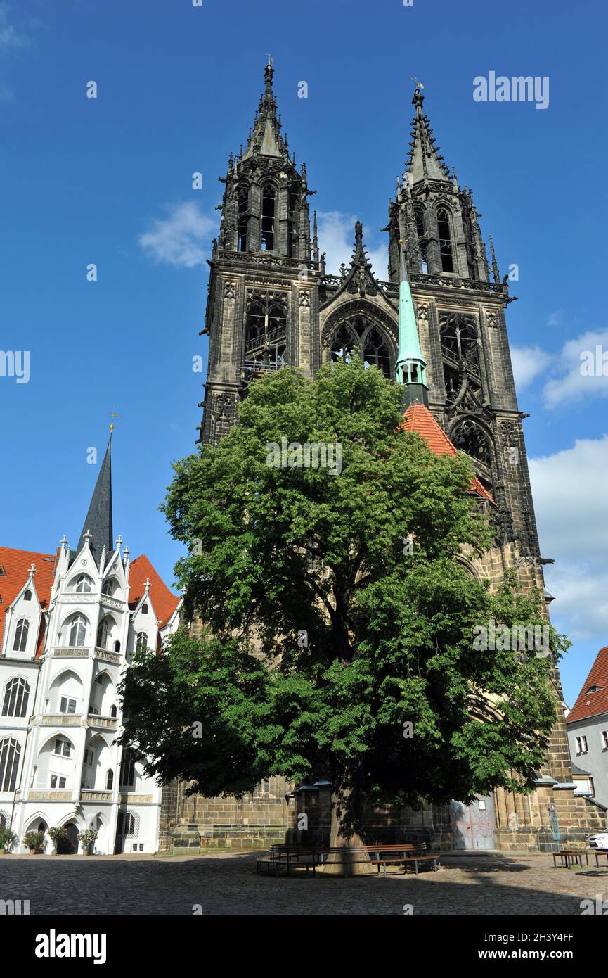 Gothic cathedral construction hi-res stock photography and images - Alamy