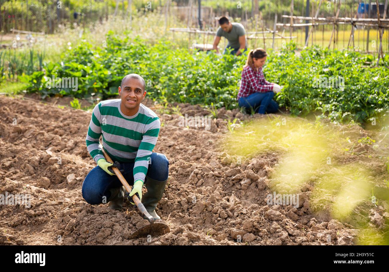 Indian weeding hi-res stock photography and images - Alamy