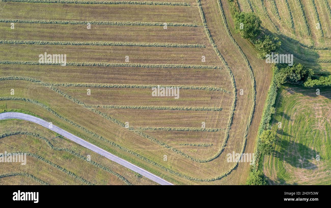Aerial view geometric farming fields, showing a green meadow and plowed ...