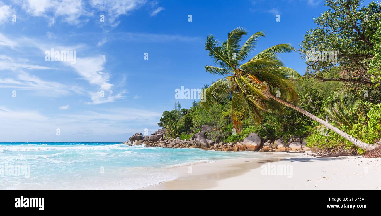 Seychelles Anse Georgette beach on Praslin island with palm tree ...