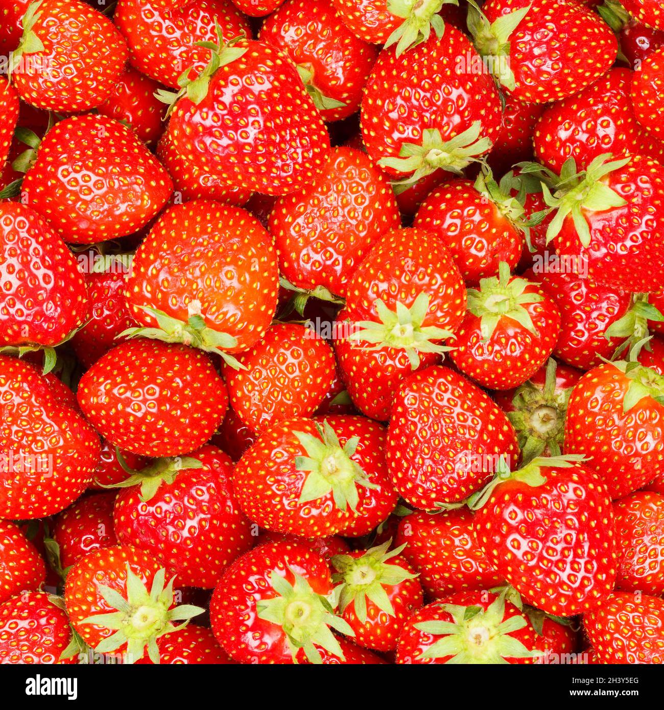 Fruit square hi-res stock photography and images - Alamy