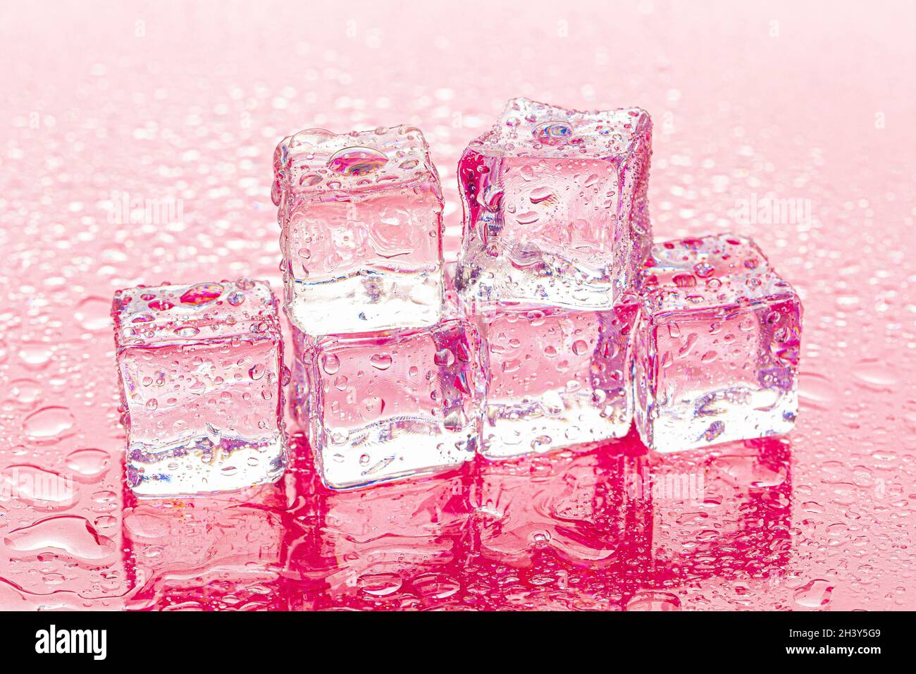 Fozen ice cubes on wet pink background Stock Photo - Alamy