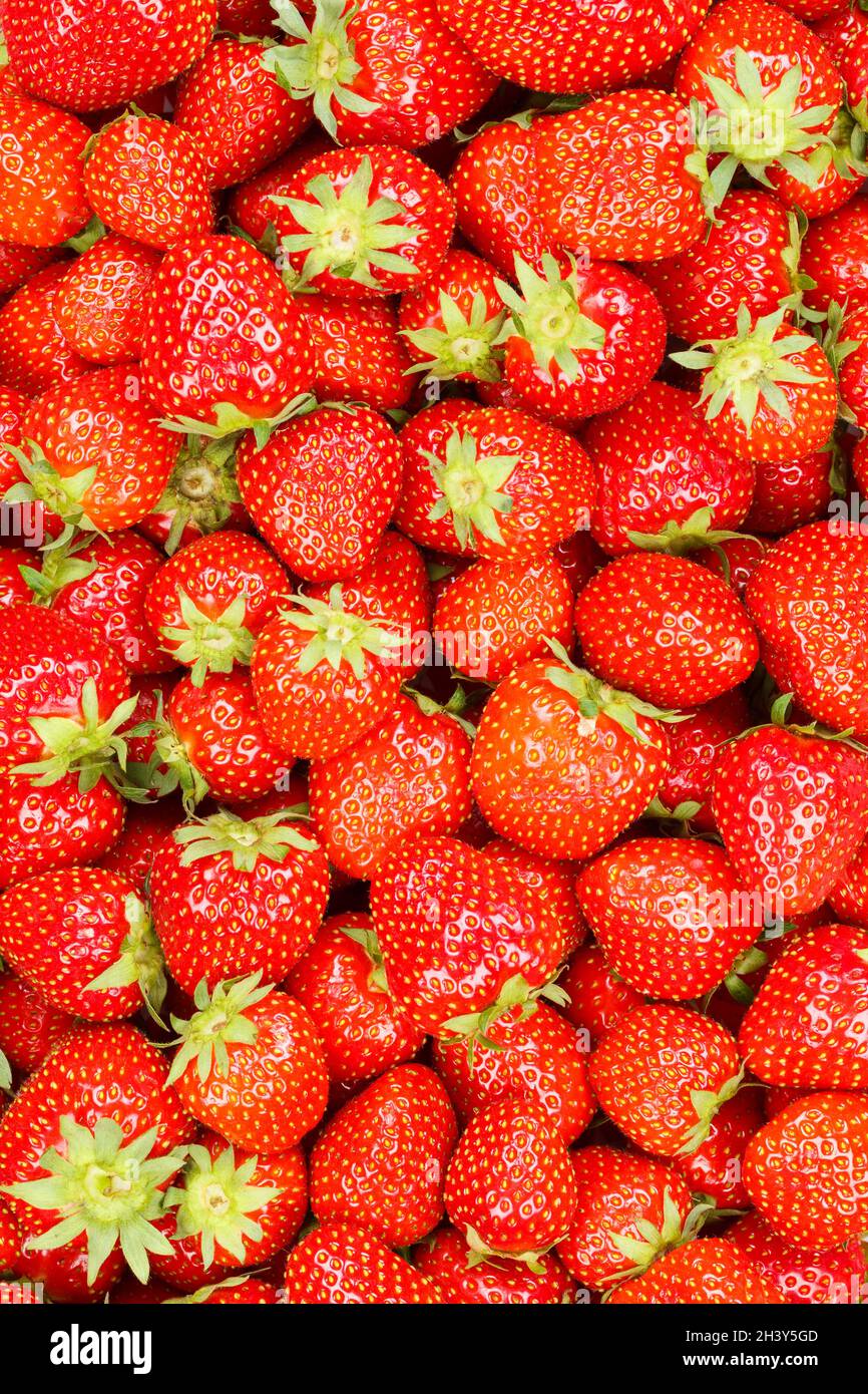Strawberries berries fruits strawberry berry fruit portrait background ...