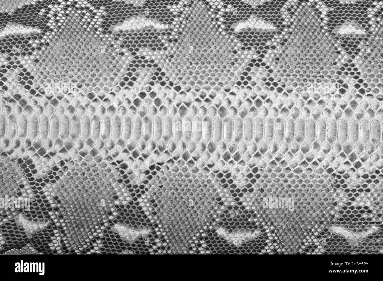 Natural snake skin is used for luxury clothes and accessories, suitable ...