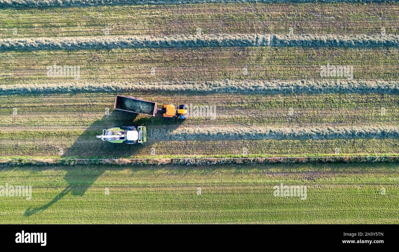 Aerial of tractor baler making straw bales in field after wheat harvest ...