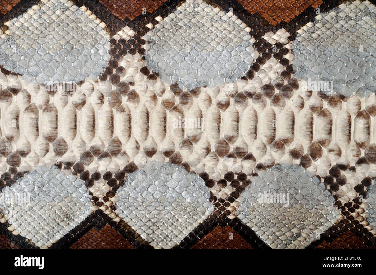 Natural snake skin is used for luxury clothes and accessories, suitable ...