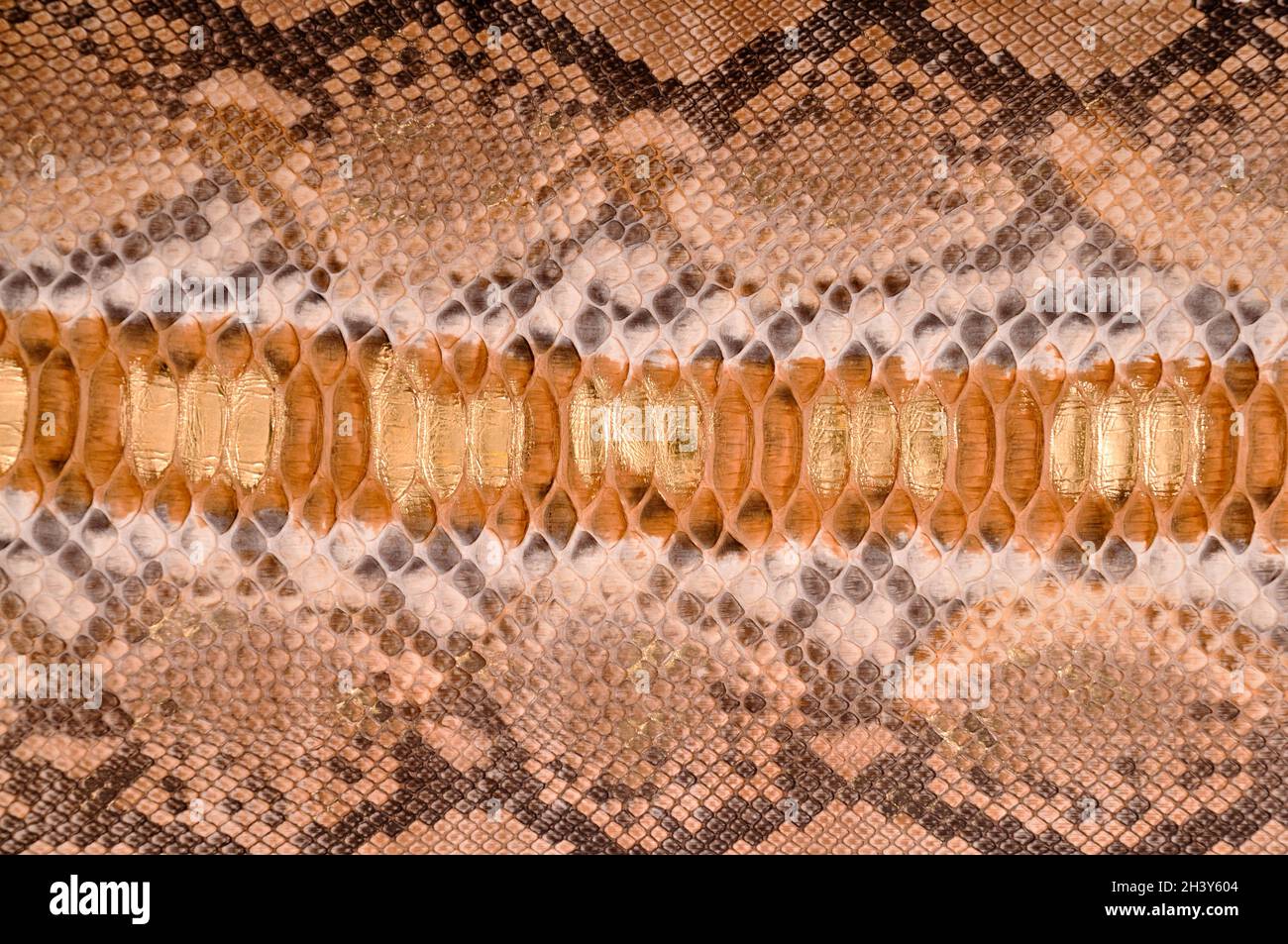Natural snake skin is used for luxury clothes and accessories, suitable ...