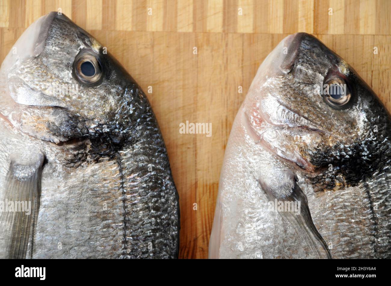 Cupra fish hi-res stock photography and images - Alamy