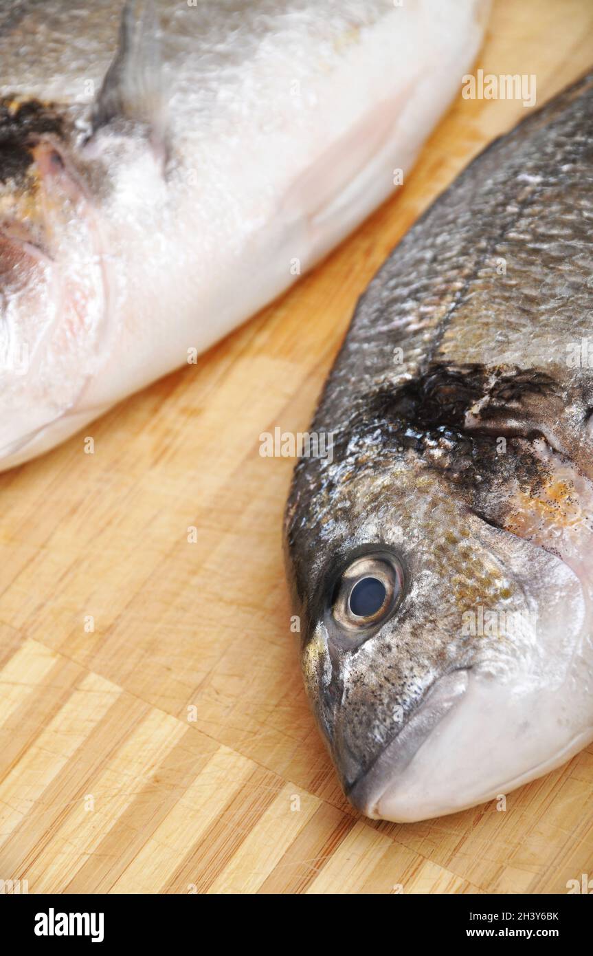 Cleaned and ready to cook fresh fish dorado, cipura cupra fish, on ...