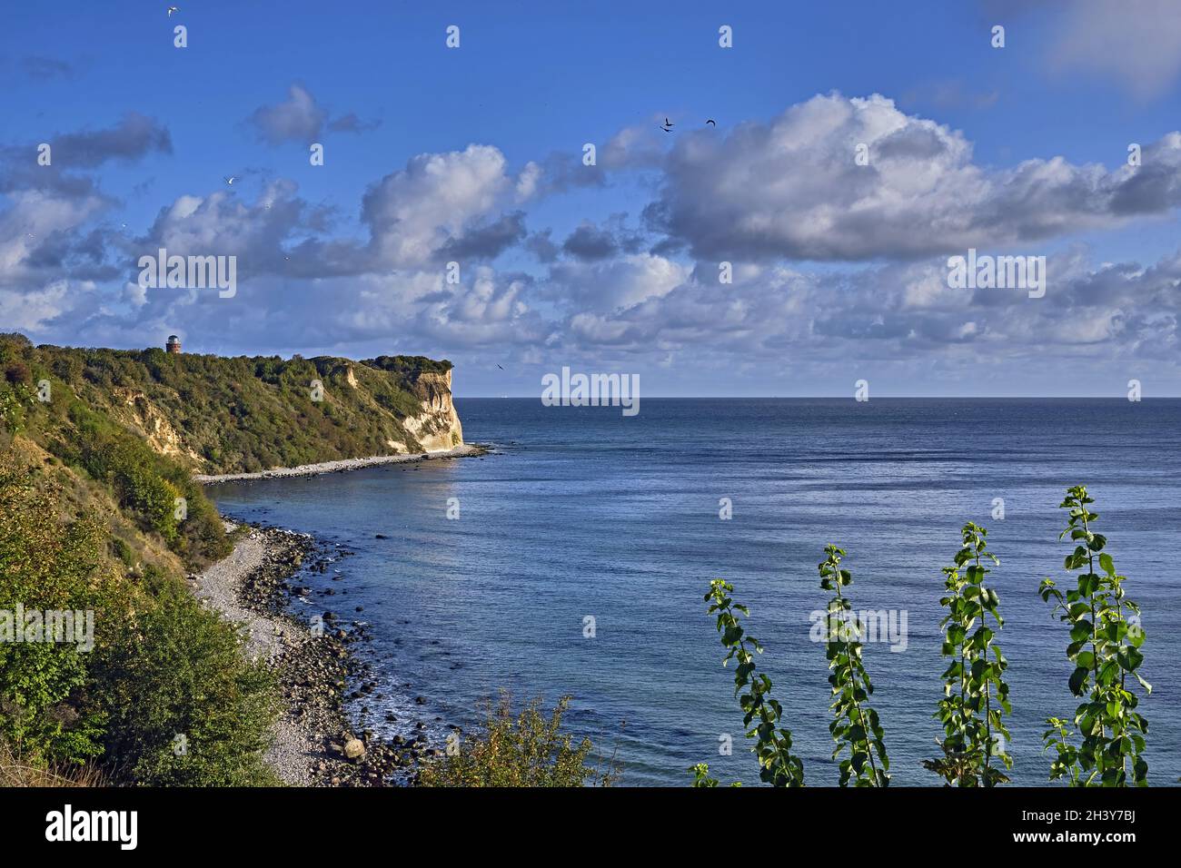 View of Cape Arkona with the bearing tower on the island of Ruegen ...