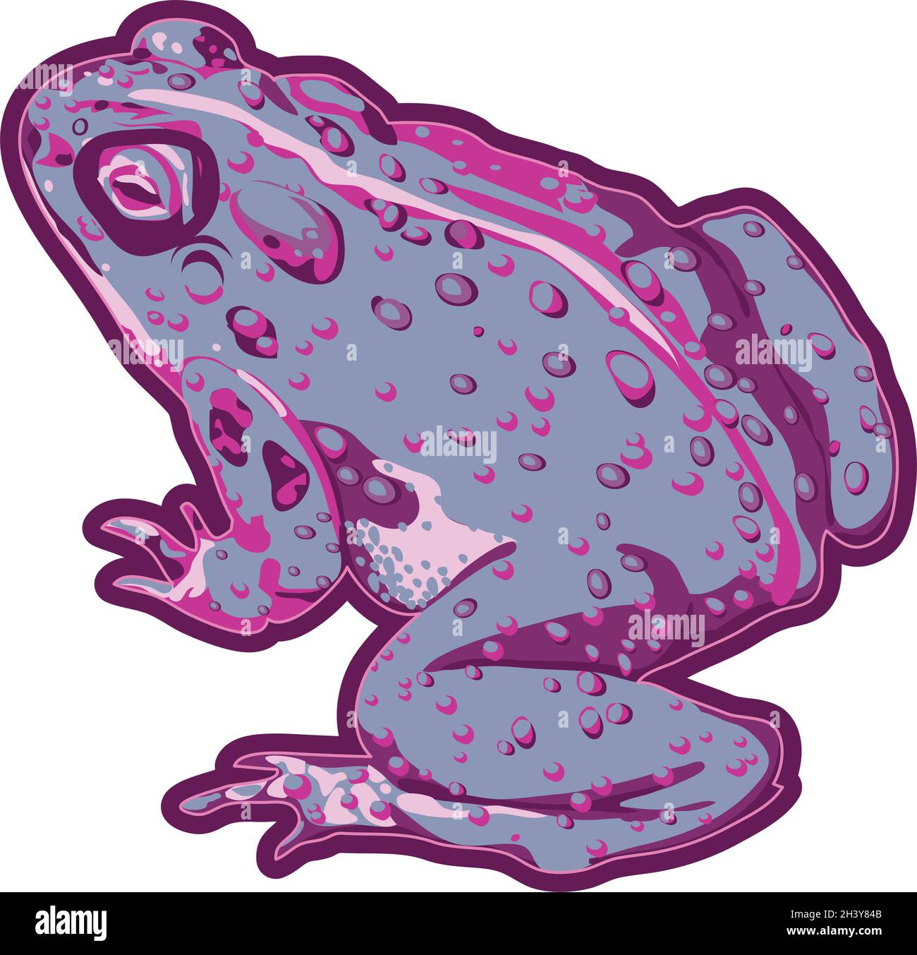 Frog vector graphics hi-res stock photography and images - Alamy