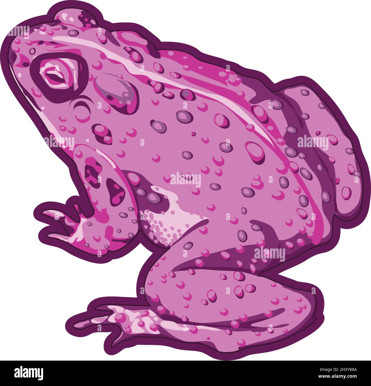 blue pink toad viewed 3/4 behind Stock Vector Image & Art - Alamy
