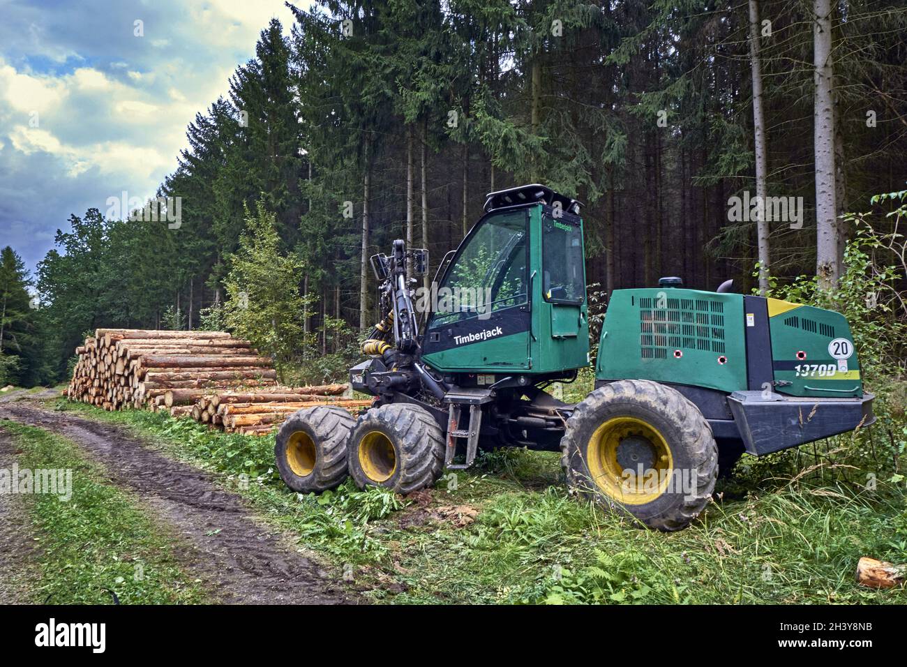 Logging work hi-res stock photography and images - Alamy