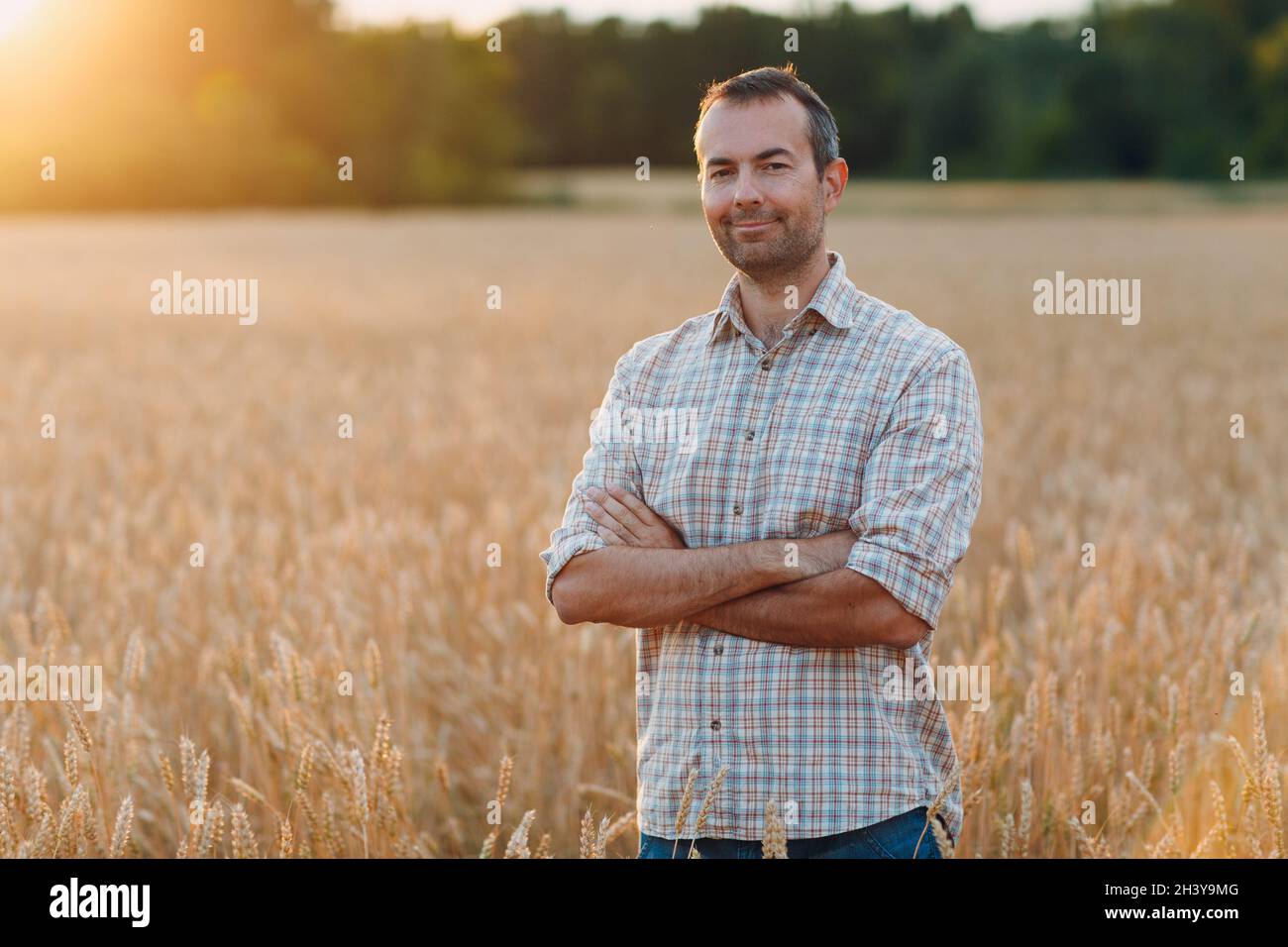 Man farmer in wheat field at sunset. Farming and agricultural ...