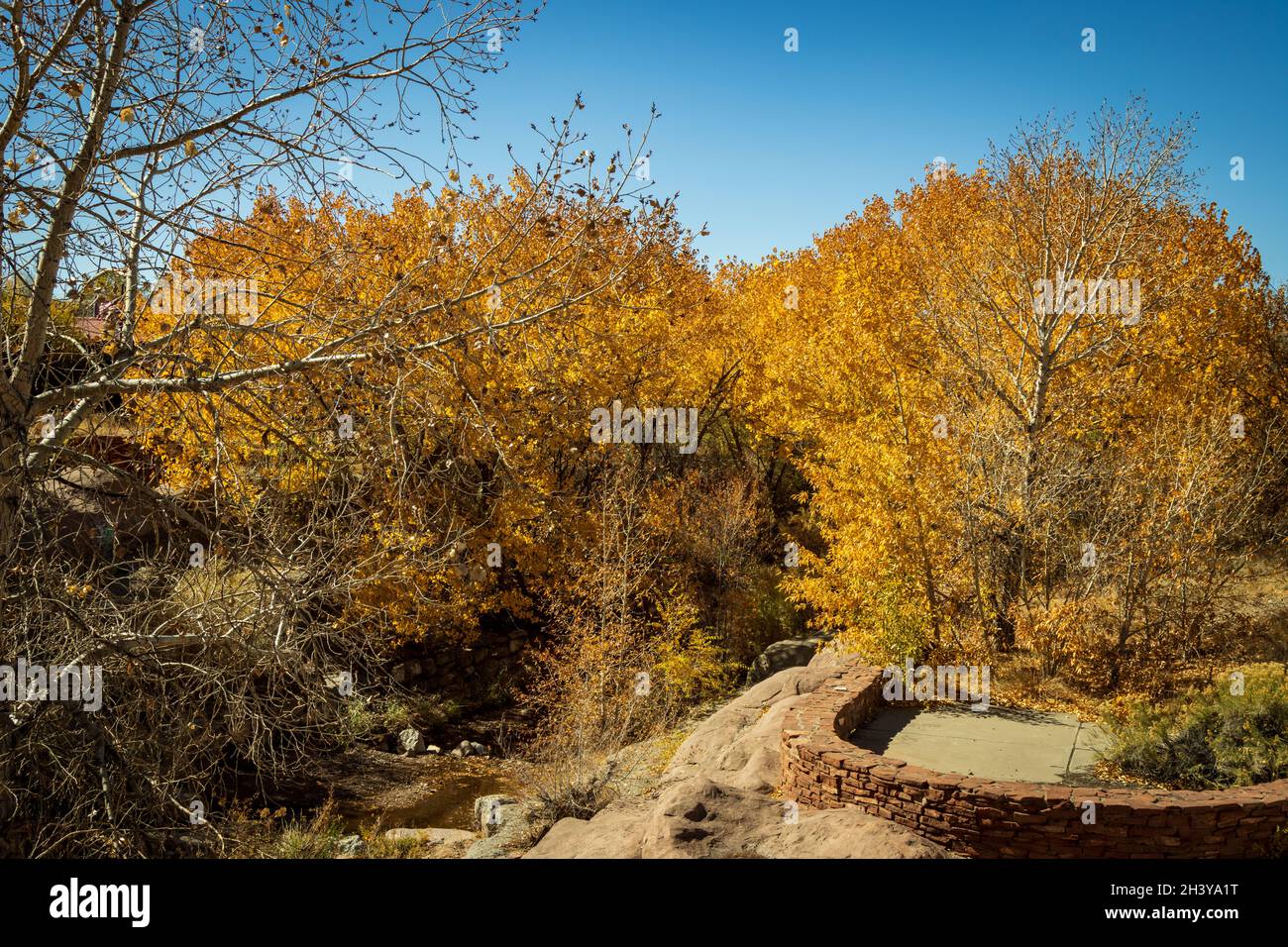 Orange trees surround the Santa Fe river in the fall Stock Photo - Alamy