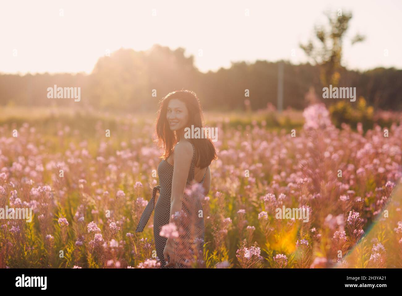 Girl on blooming Sally flower field. Lilac flowers and woman Stock ...