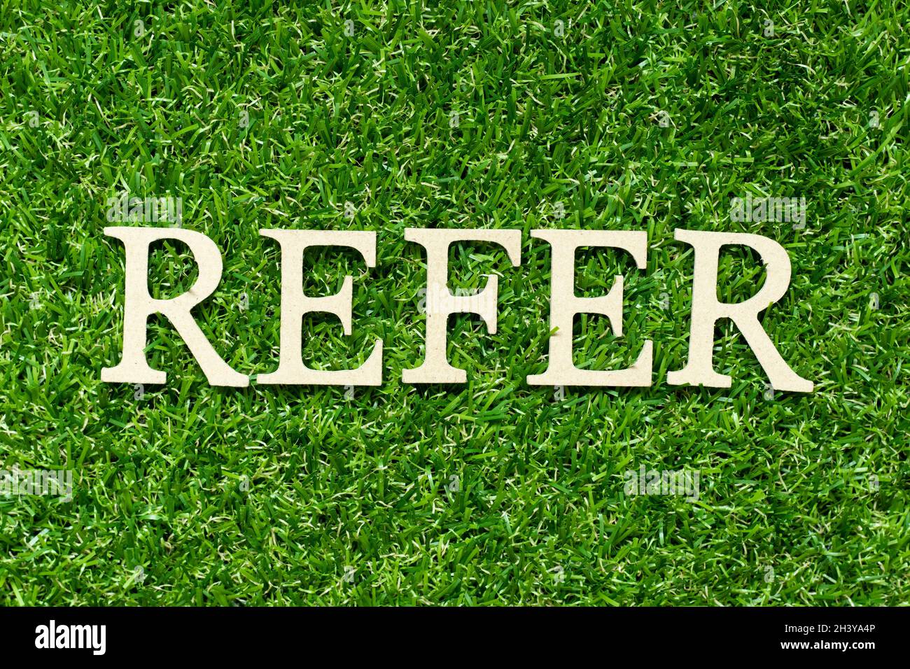 Wood letter in word refer on green grass background Stock Photo - Alamy