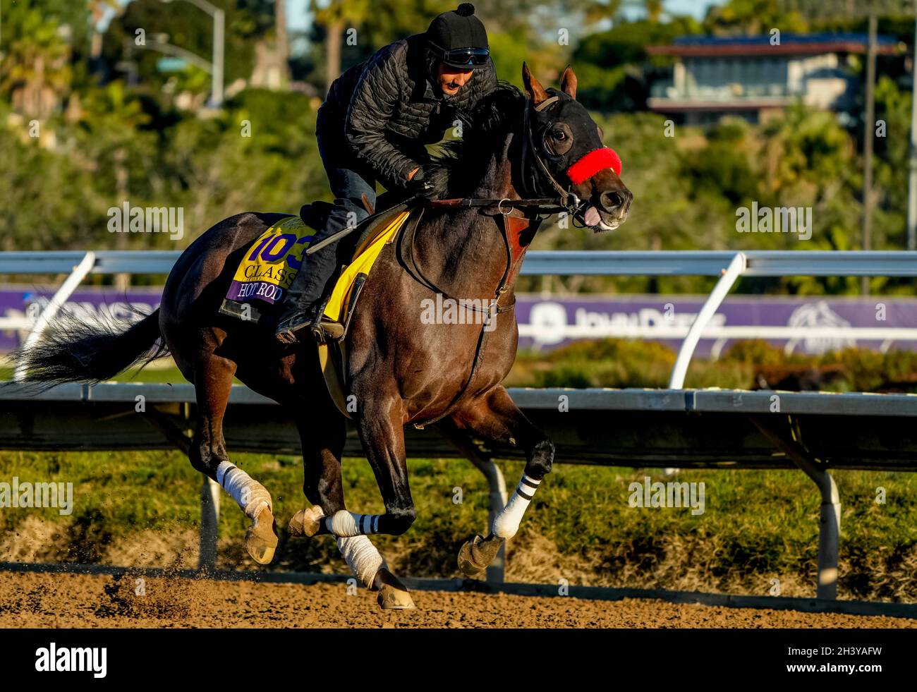 Hot rod charlie horse hi-res stock photography and images - Alamy