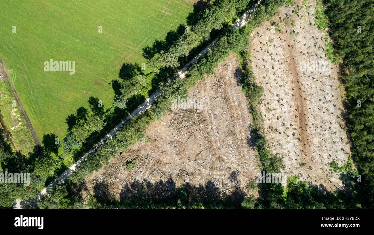 Rainforest deforestation aerial view hi-res stock photography and ...