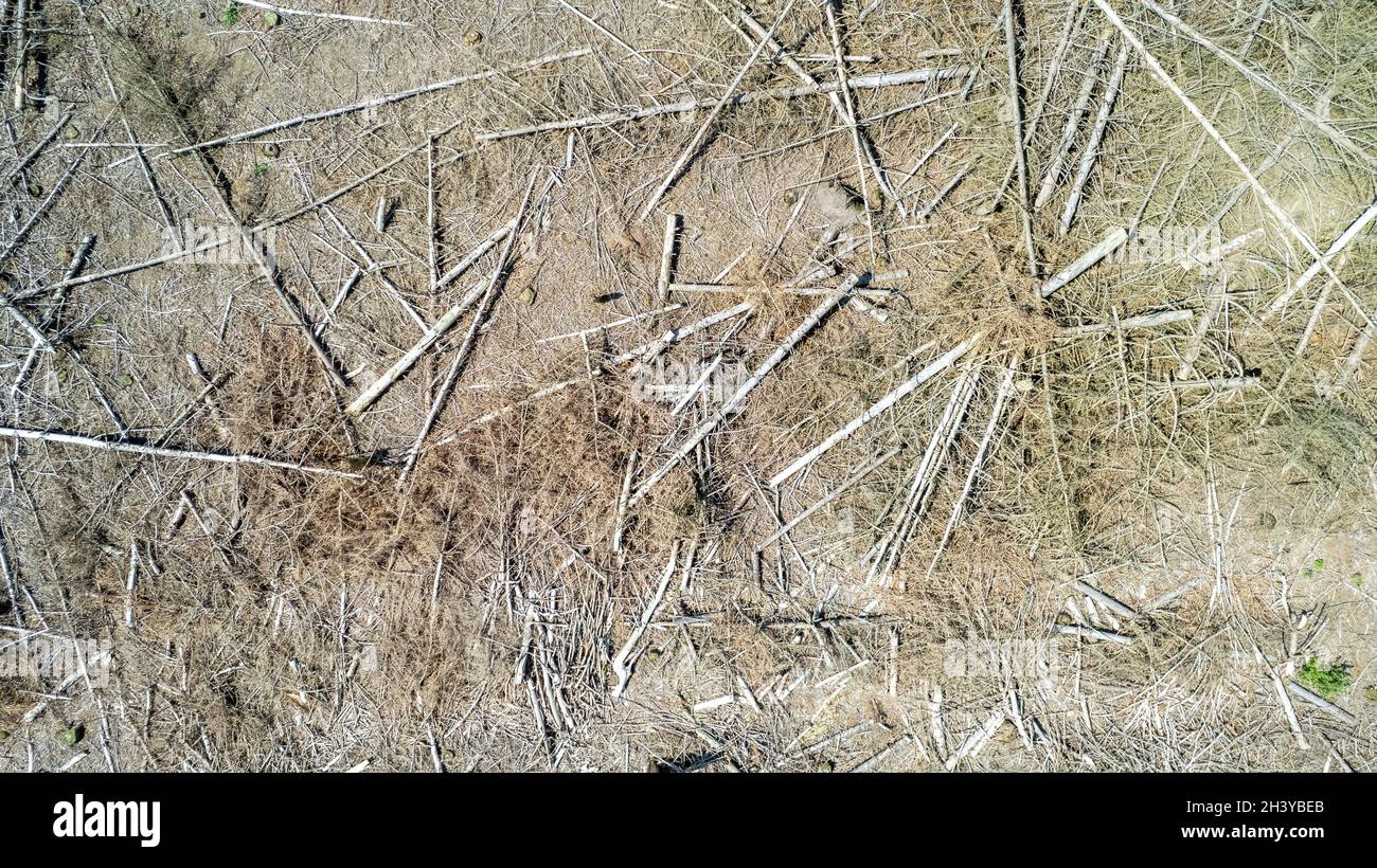 Rainforest deforestation aerial view hi-res stock photography and ...