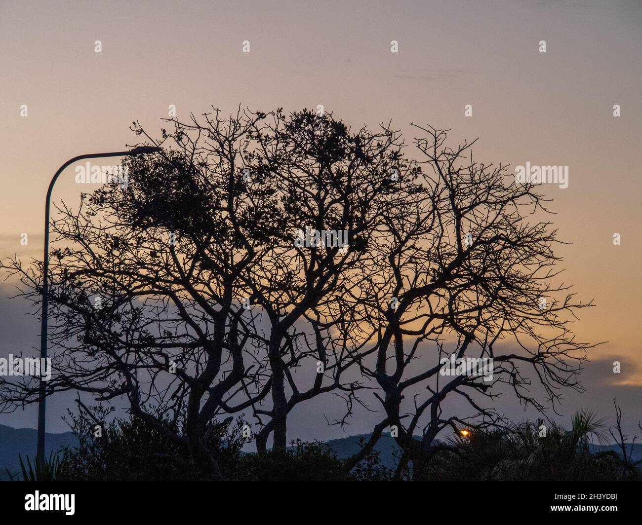 Pale colours in a landscape hi-res stock photography and images - Alamy