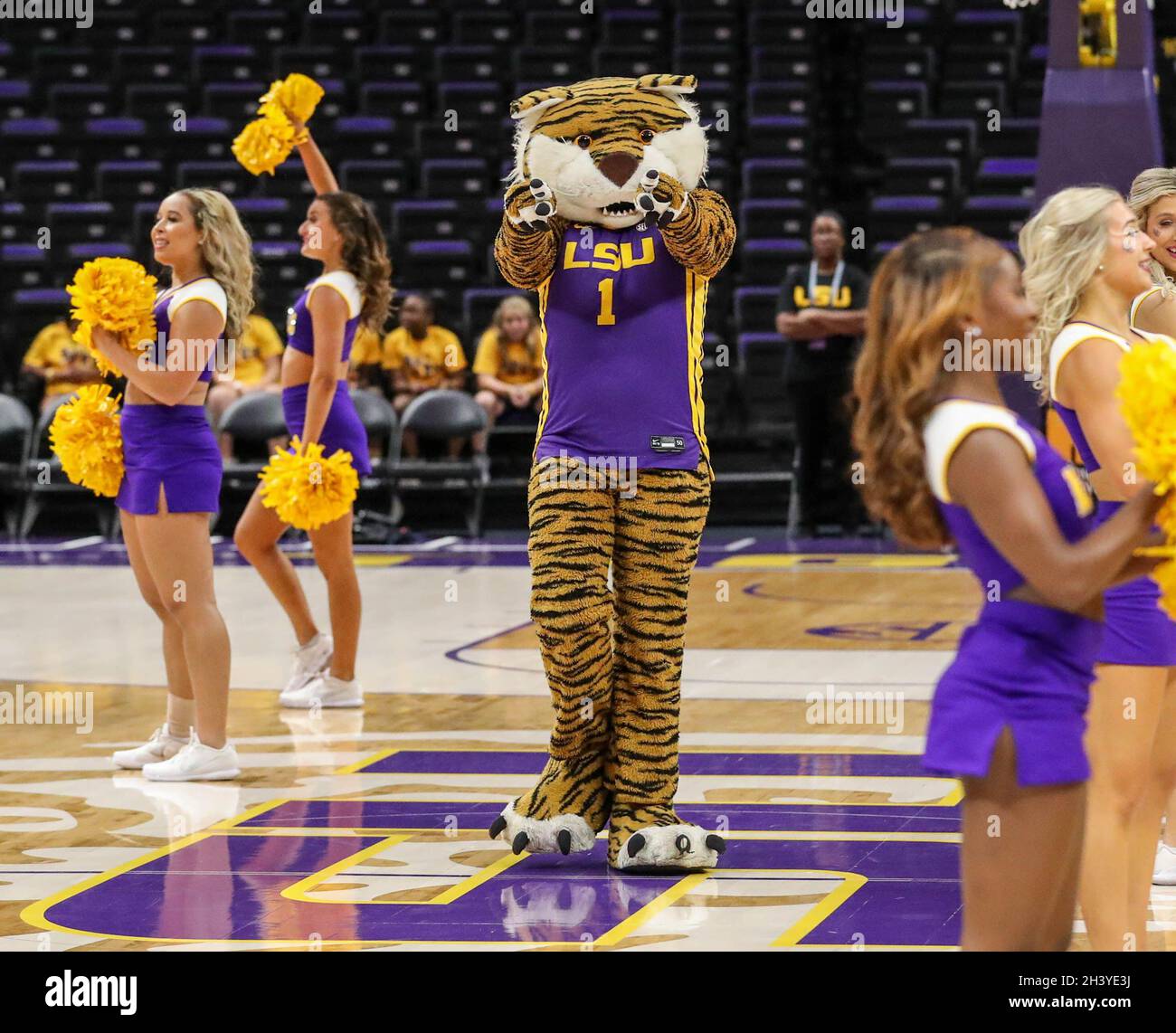 Baton Rouge, LA, USA. 30th Oct, 2021. LSU's Mike the Tiger mascot ...