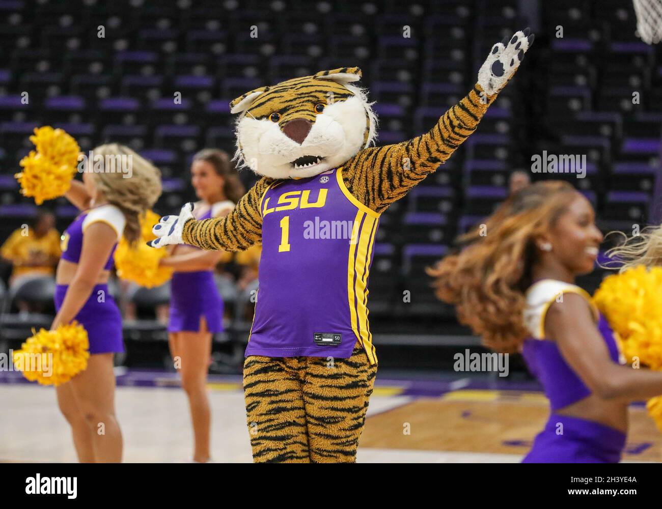 Baton Rouge, LA, USA. 30th Oct, 2021. LSU's Mike the Tiger mascot ...